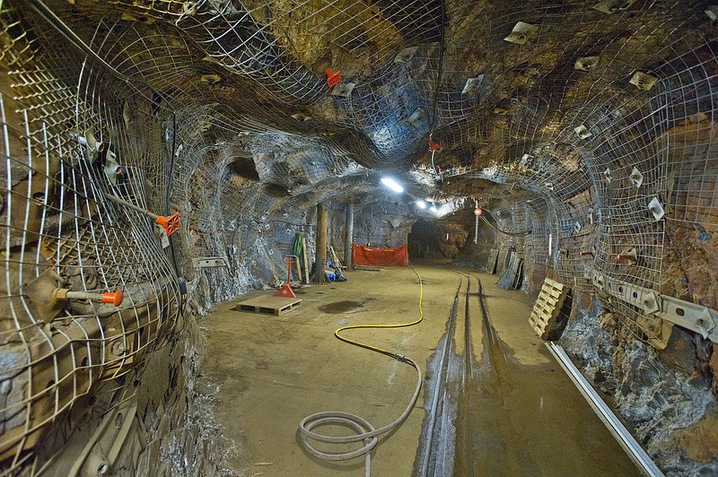 New Organisms Shine a Light on 'Microbial Dark Matter' | PBS NewsHour