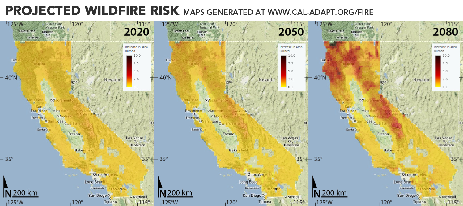 It’s time to fight forest fires with satellite technology, argues ...