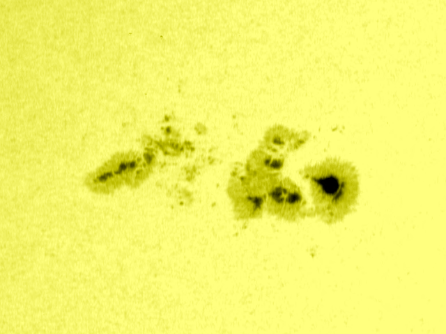 sunspot group