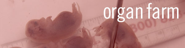 Organ Farm | FRONTLINE | PBS