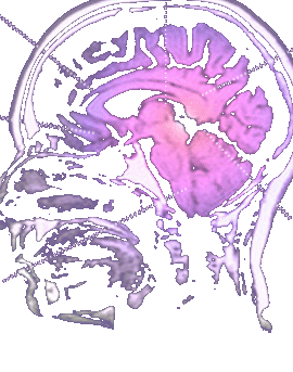 Inside The Teenage Brain | FRONTLINE | PBS